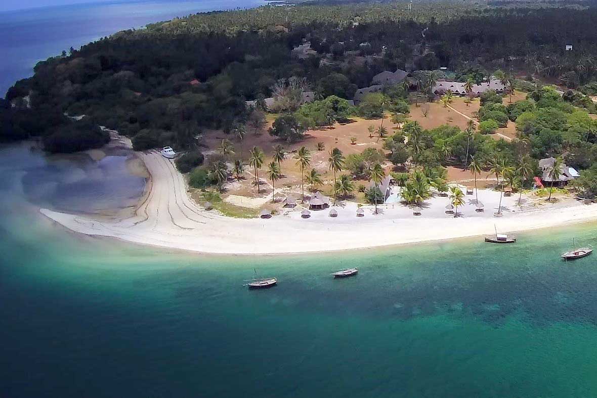 Tauchen Mafia Island, Tansania - toller Tauchspot mit Kombi Safari